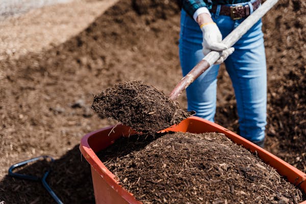 Mulch Installation | Bombora Pools & Outdoors